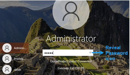 Reveal Password on Windows Logon Screen for GlobalProtect