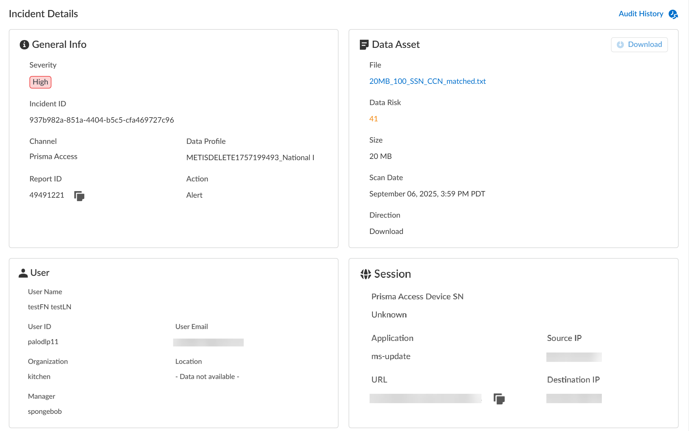 View an Enterprise DLP Incident